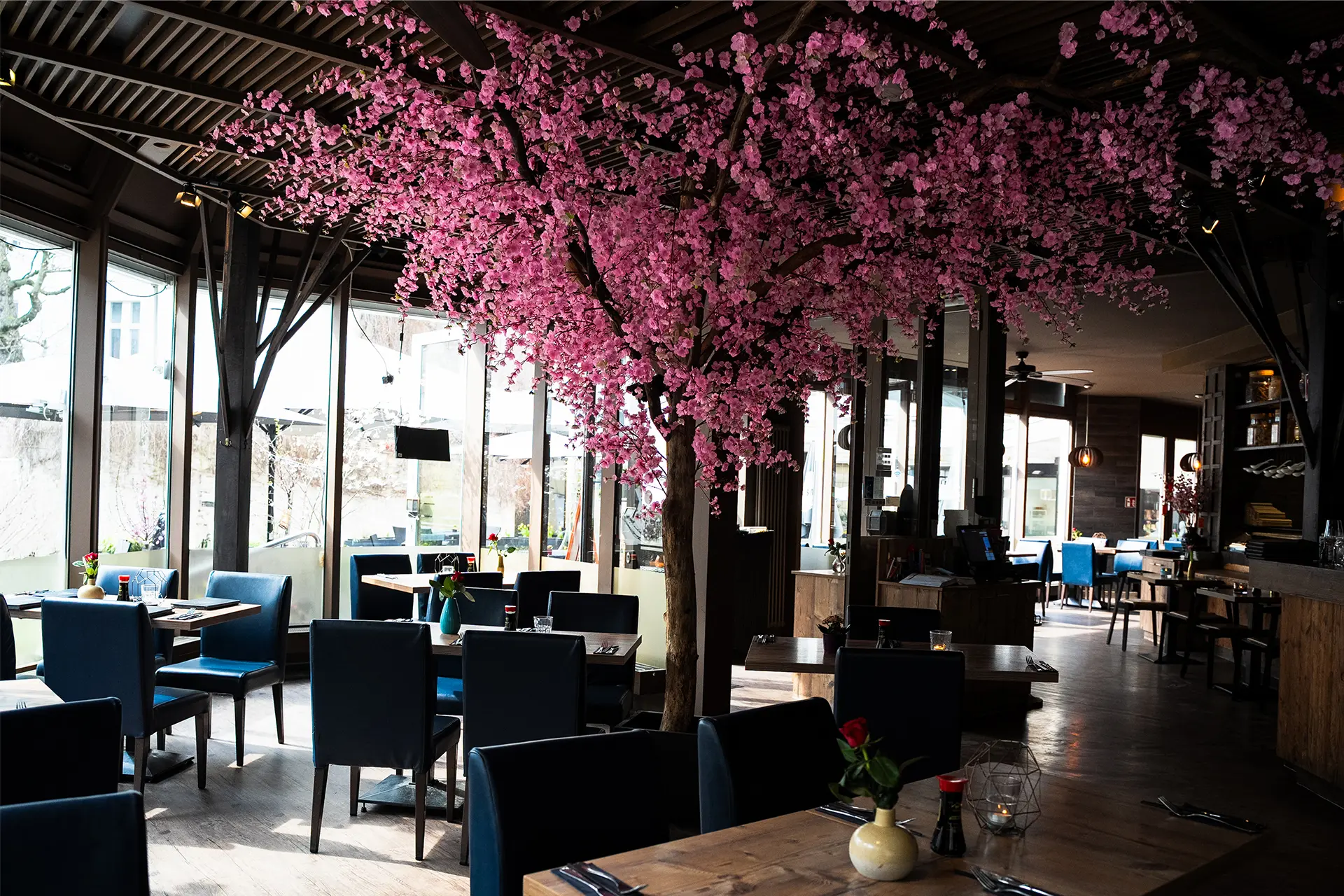 ZEN Restaurant Berlin Kudamm | Asiatisch & Sushi genießen